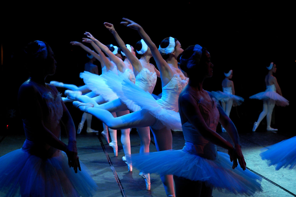 À chacun son soulier: le ballet classique – Boutique du danseur